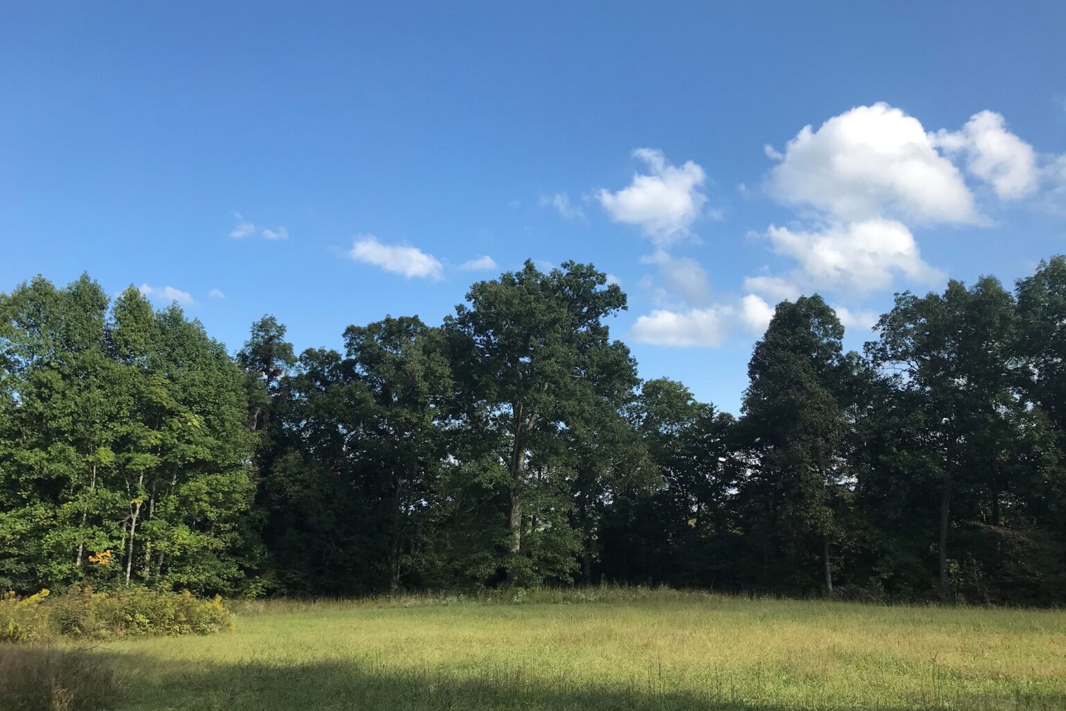 Our Slice of Kentucky Pie – Sarah Chafins